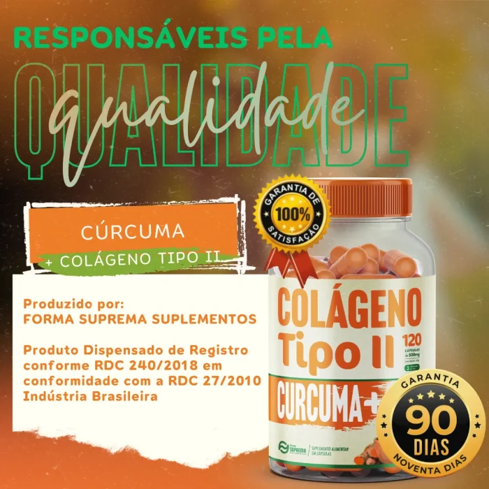 2 Cúrcuma + Colágeno Tipo 2 - 240 Cápsulas 500mg Premium - Forma ...